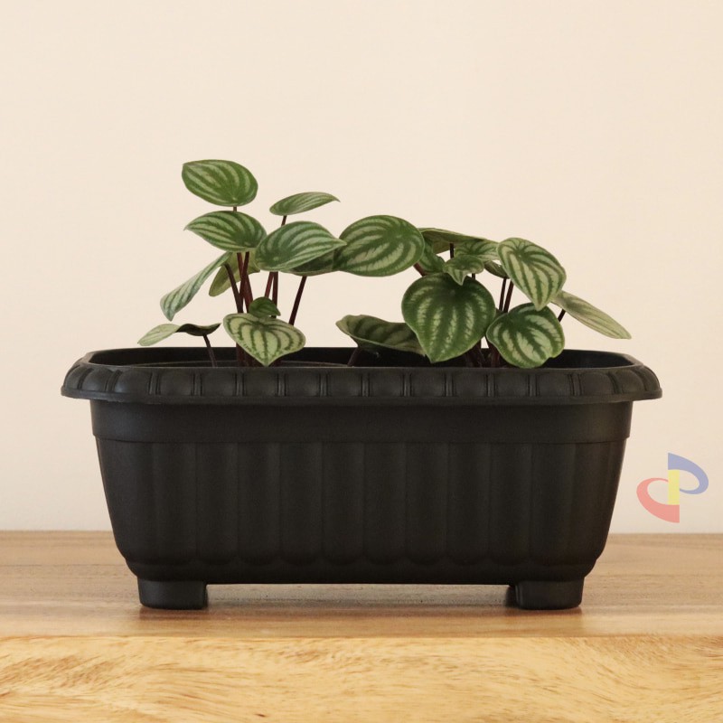 Jual POT BUNGA PLASTIK SEGI HITAM 35 CM | Shopee Indonesia