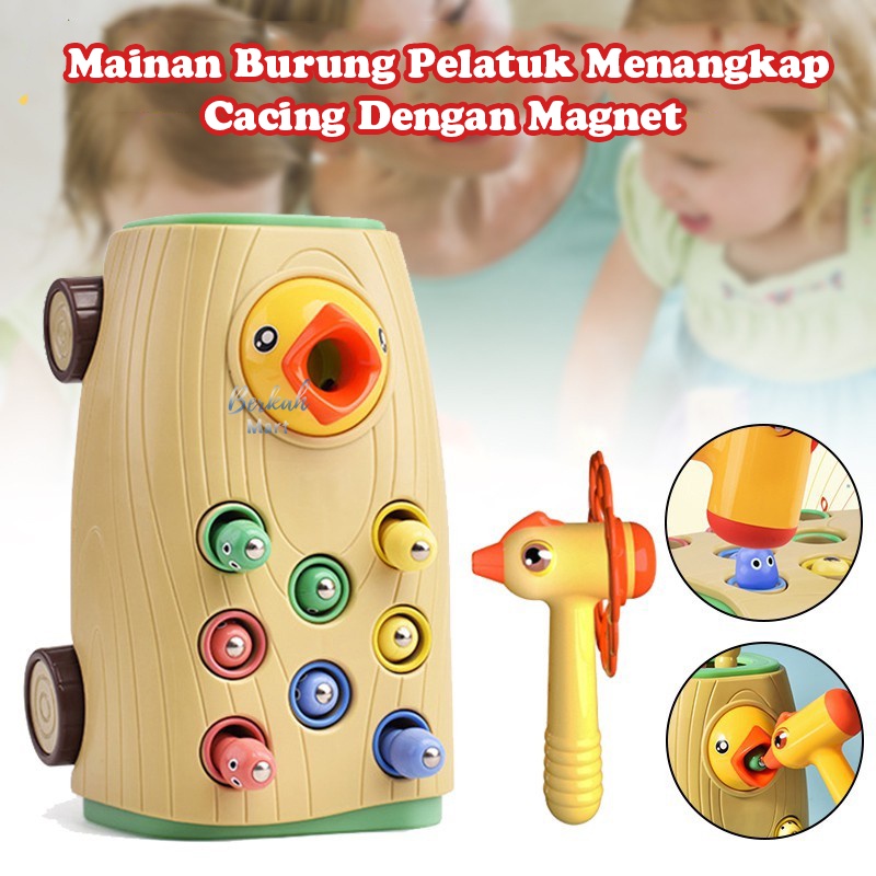 Jual Mainan Edukasi Anak Anak Menarik dan Memukul Serangga atau Cacing ...