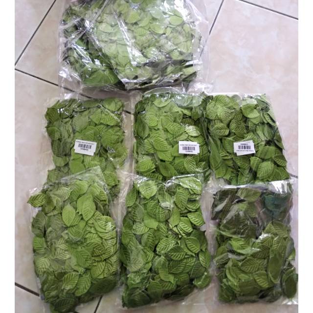 Jual Ddaun spon hijau ready | Shopee Indonesia