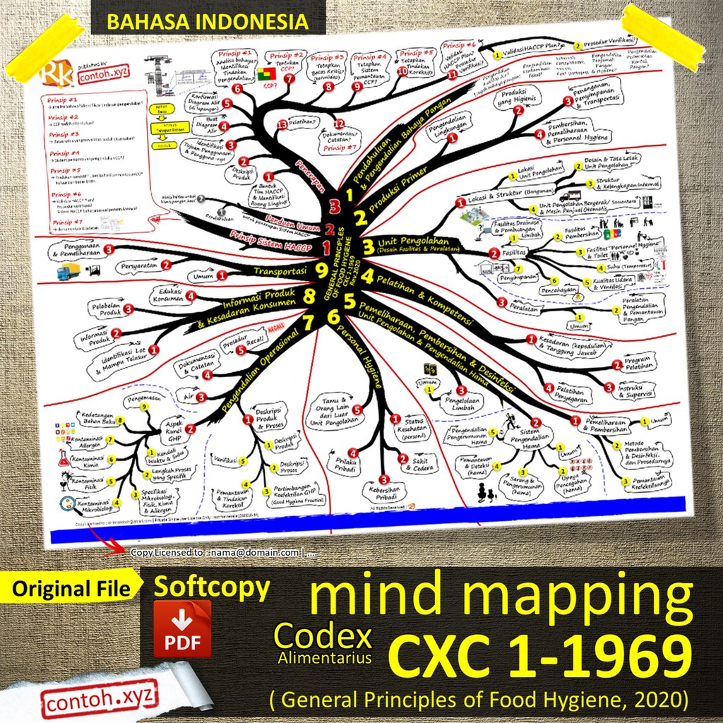 Jual [Original File #44] SoftCopy Mind-Mapping Codex CXC 1-1969 Rev ...