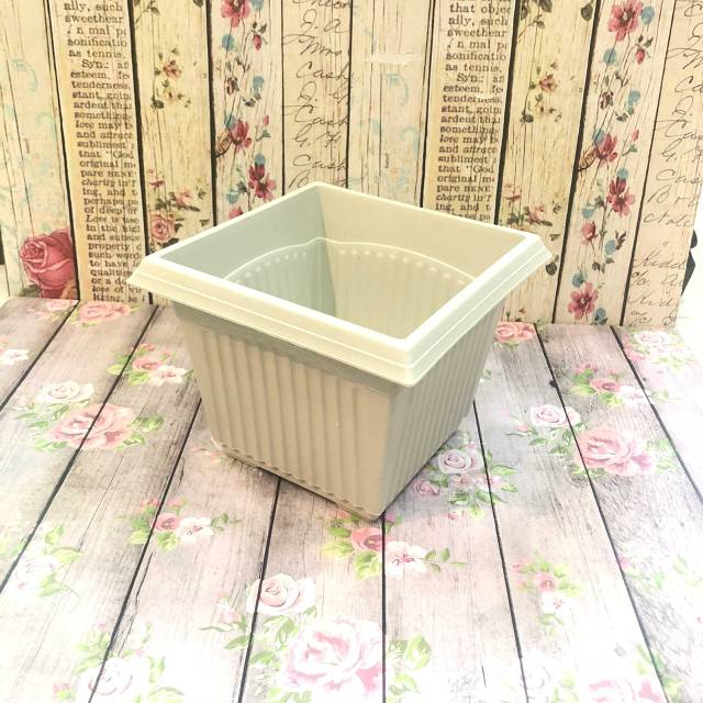 Jual POT BUNGA PETAK PUTIH 19 Cm READY | Shopee Indonesia