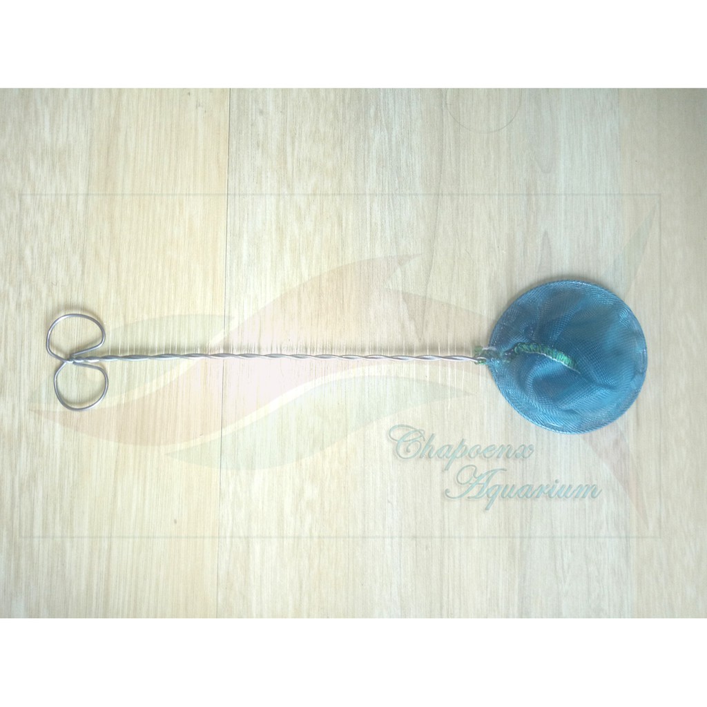 Jual Serokan Kecil Bulat (Seser Ikan Cupang) | Shopee Indonesia Jual Serokan Kecil Bulat (Seser Ikan Cupang) | Shopee Indonesia
