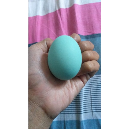 Jual Telur Bebek Mentah Fresh Warna Biru | Shopee Indonesia