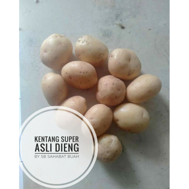 Jual kentang super asli dieng | Shopee Indonesia