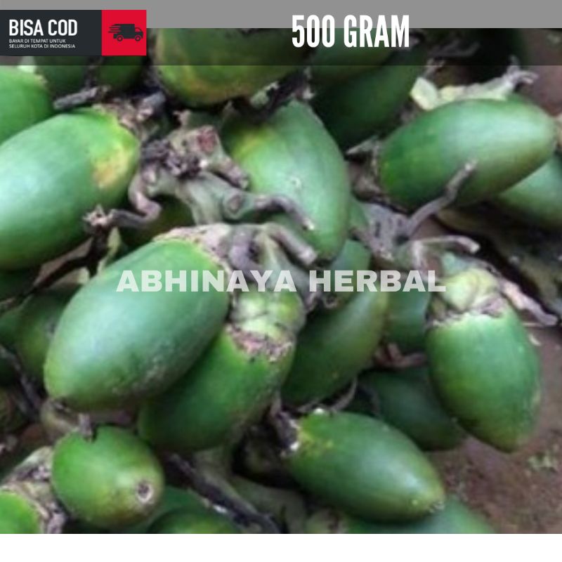 Jual BUAH PINANG/JAMBE MUDA SEGAR 500 GRAM | Shopee Indonesia