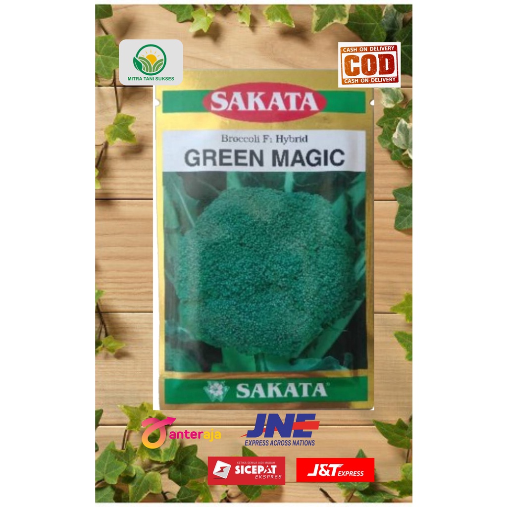 Jual Benih Brokoli Green Magic Hibrida F1 Green Magic 10gram Sakata Seed Isi 2000 Biji | Shopee ...