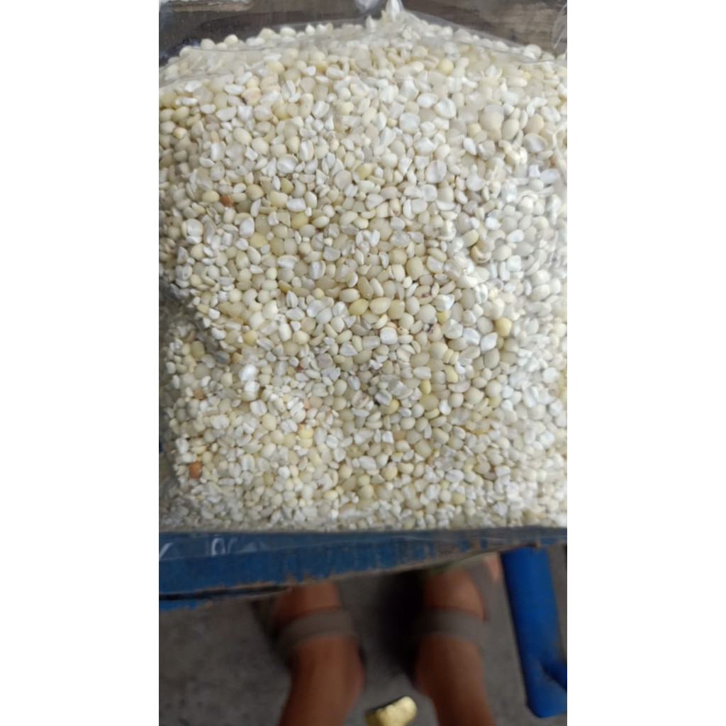 Jual Jali Aceh / Ibi / Barley / Hanjali Lokal Premium 1 kg | Shopee ...
