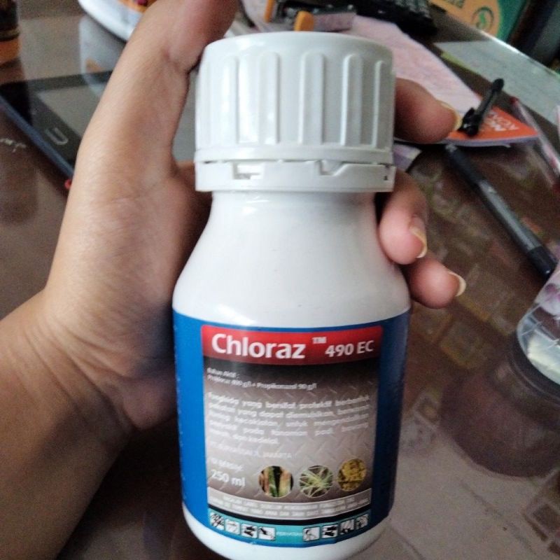 Jual Fungisida chloras 250 ml | Shopee Indonesia