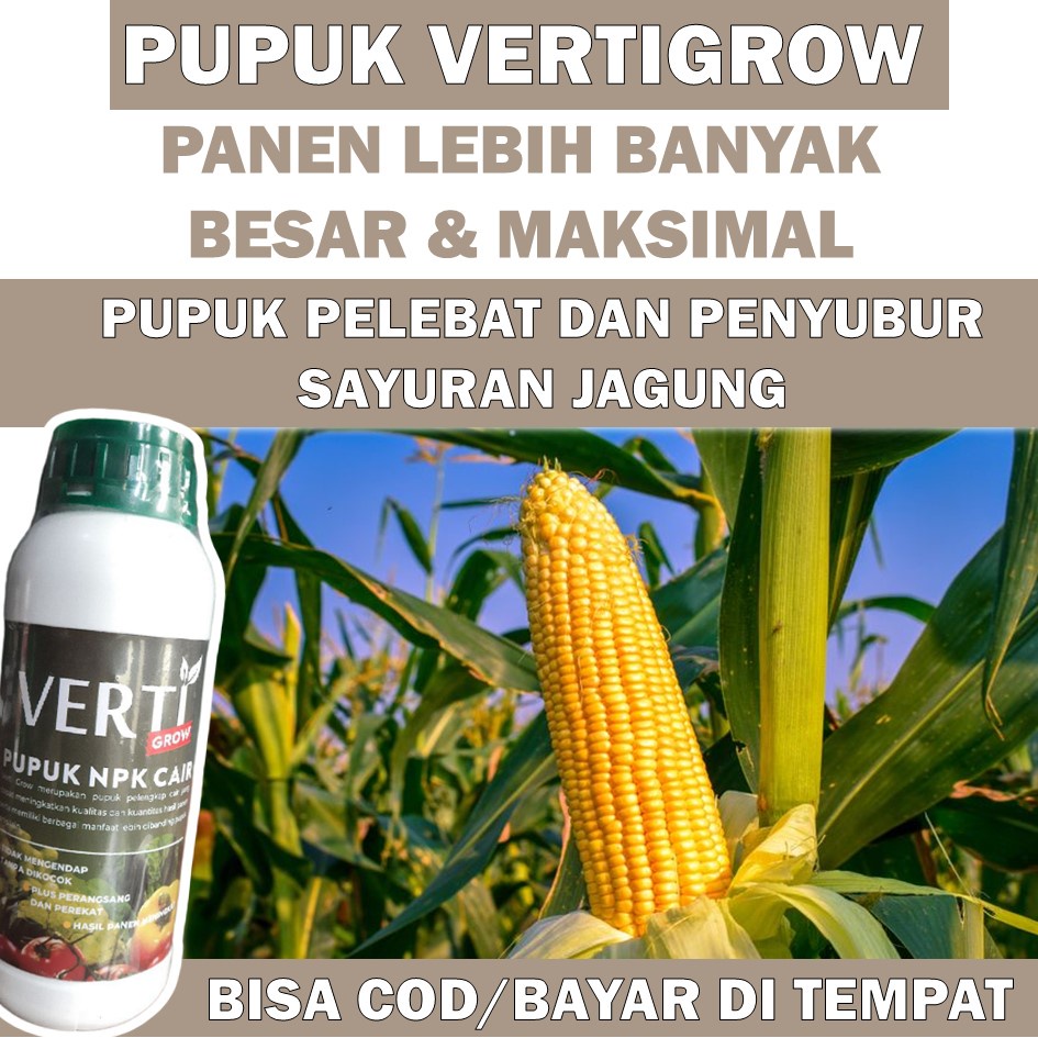 Jual VERTI-GROW PUPUK NPK TERBAIK MELEBATKAN JAGUNG Buah Jagung Menjadi Besar dan Sehat - Pupuk ...