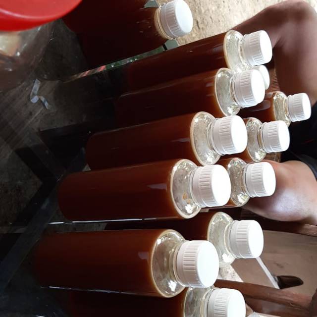 Jual Madu Lanceng Trigona 250ml | Shopee Indonesia