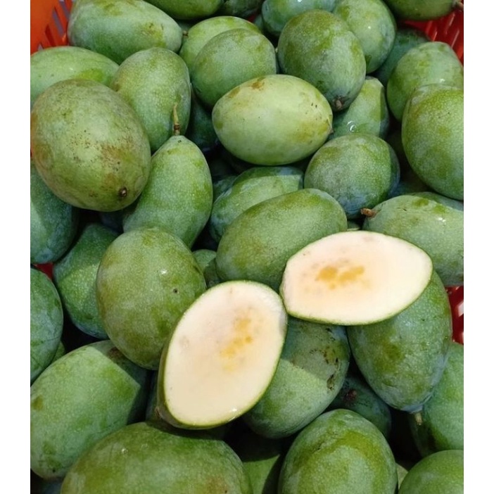 Jual MANGGA MANALAGI FRESH 1KG/BUAH MANGGA MANALAGI MANIS | Shopee ...