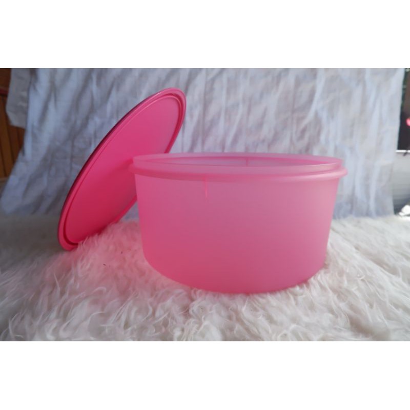 Jual Tupperware Carry all canister | Shopee Indonesia