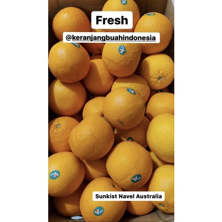 Jual Buah Segar Sunkist Navel Australia Fresh Fruit Jeruk Navel
