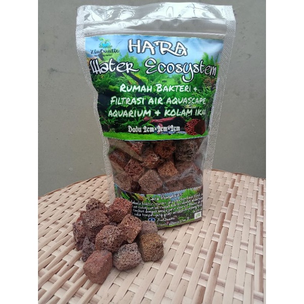 Jual Perlengkapan Aquascape Rumah Bakteri/Filter Air/Substrat/Batu ...