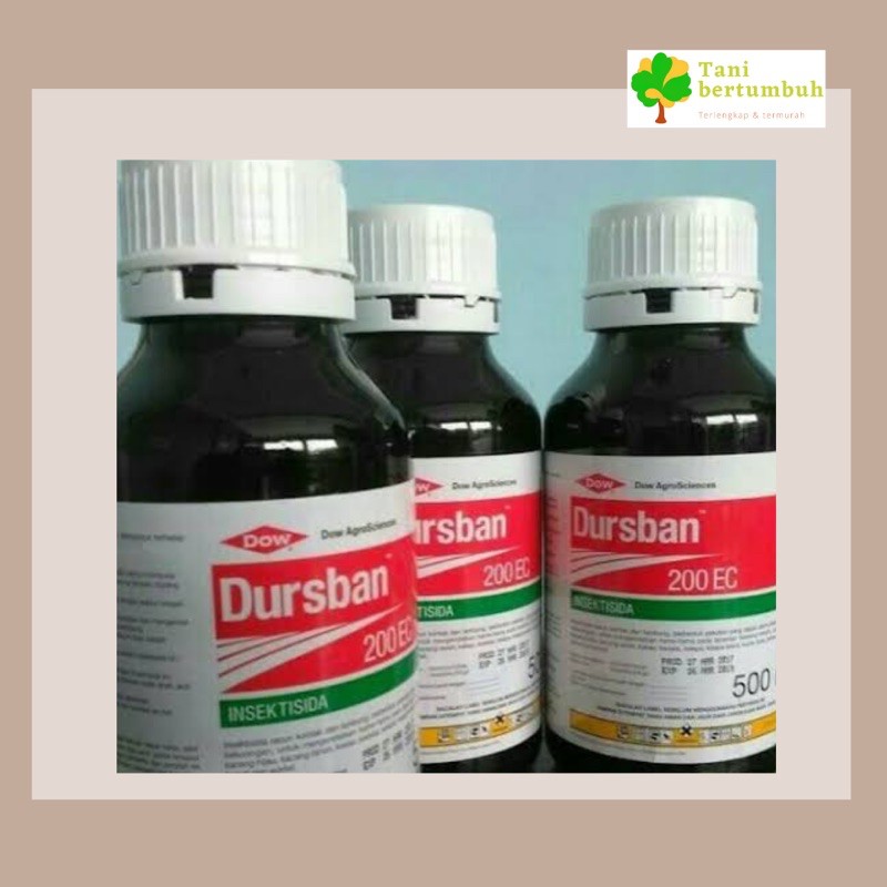 Jual DURSBAN 200EC INSEKTISIDA SERANGGA KEMASAN 100ML | Shopee Indonesia