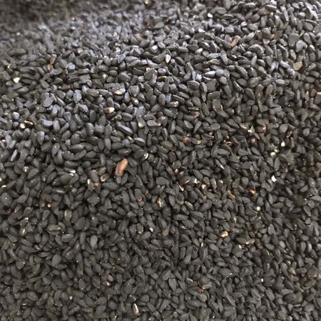 Jual Biji jinten hitam/ Habbatussauda 500gram | Shopee Indonesia