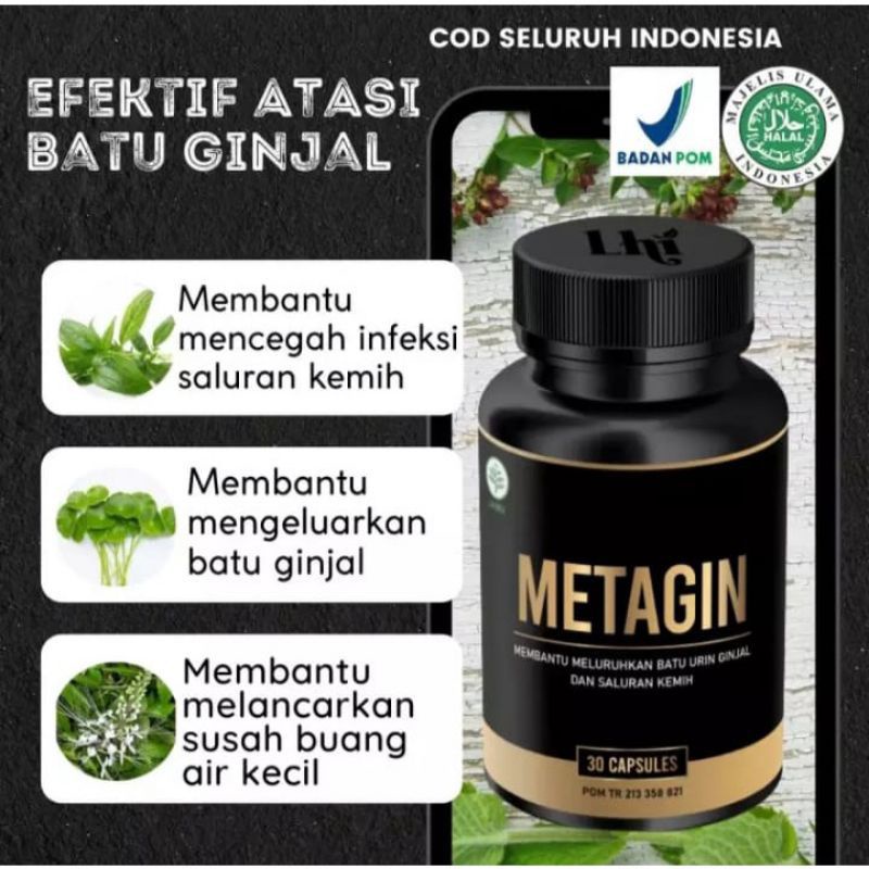 Jual Metagin Asli Obat Herbal Batu Ginjal Empedu Sakit Kencing ...