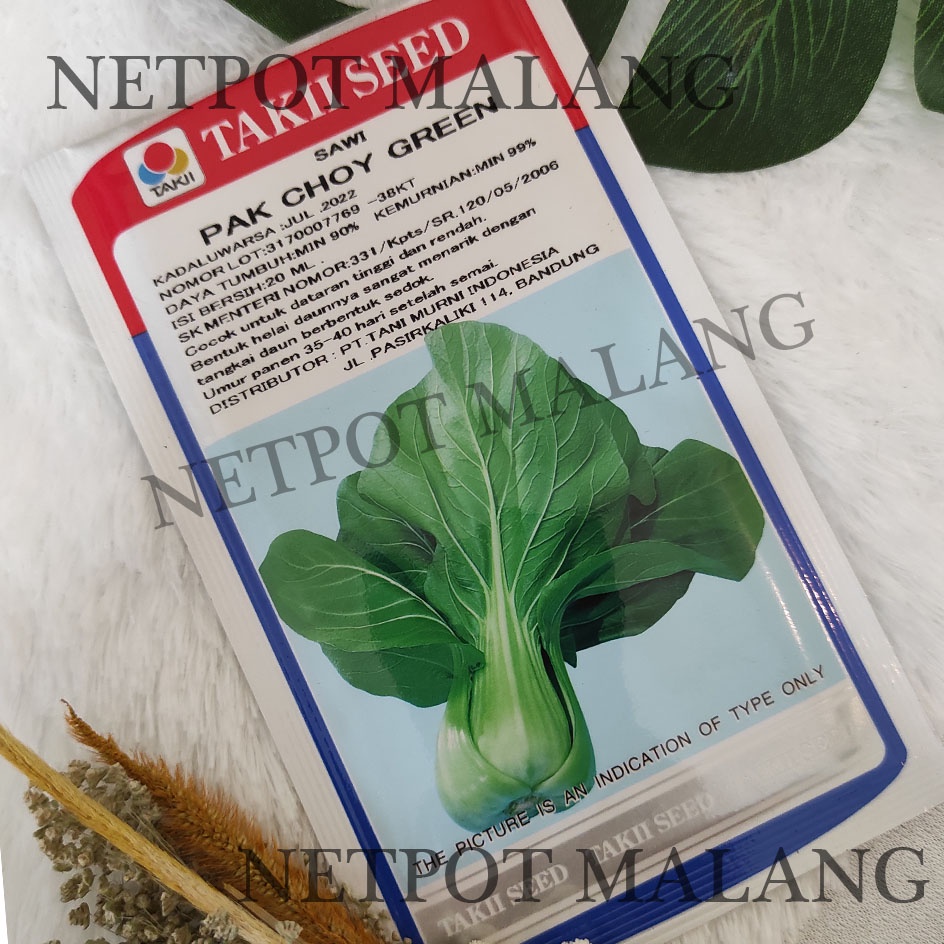 Jual Benih PAK CHOY GREEN Isi 20 ml Sawi Sendok Takii Seed Pakchoy ...