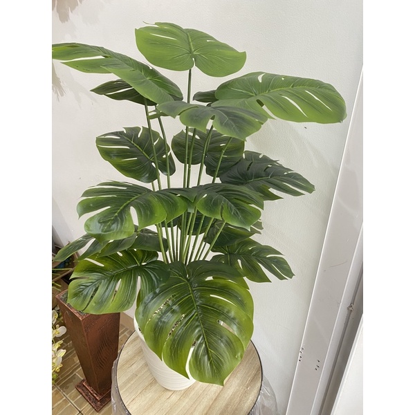 Jual ARTIFICIAL PLANT /POHON MONSTERA ARTIFICIAL /POHON SUDUT/ DAUN ...