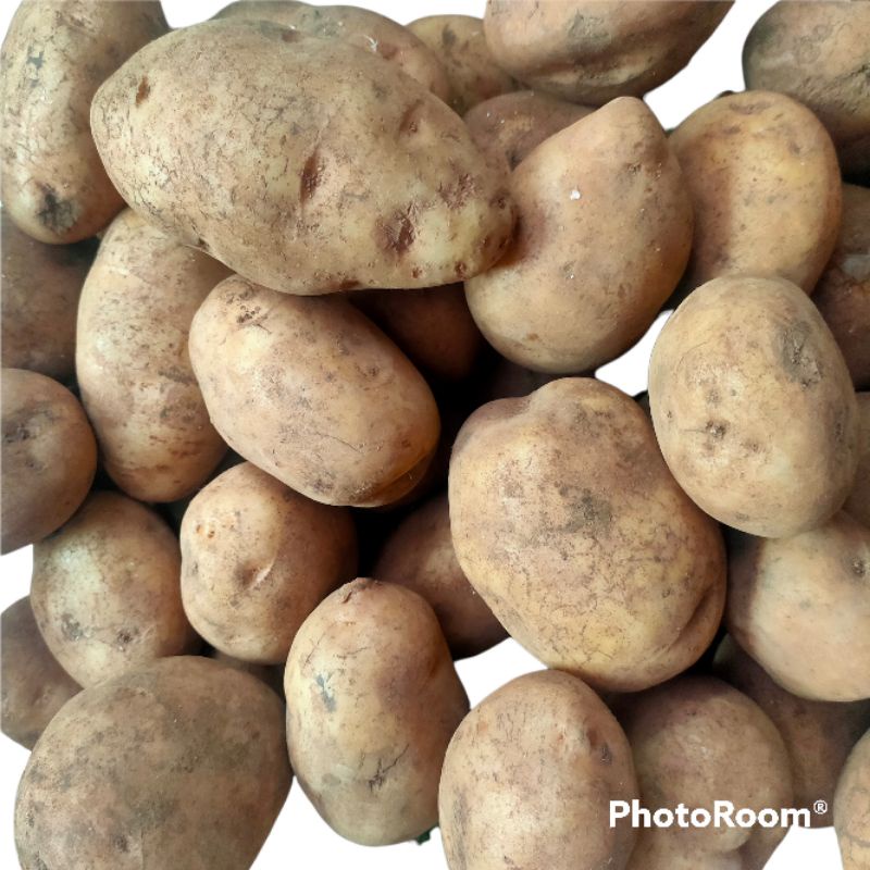 Jual kentang dieng besar 1kg | Shopee Indonesia