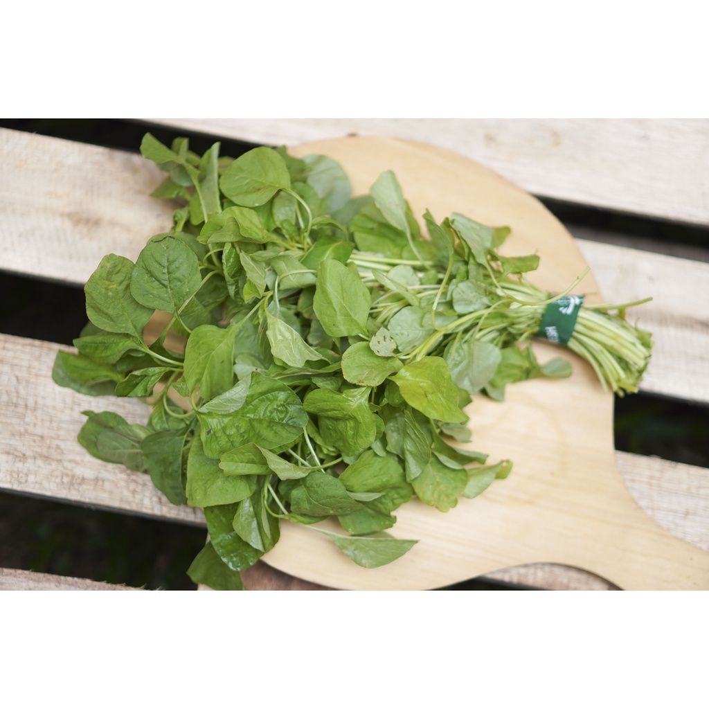 Jual Bayam segar 1 ikat (75-100 gr) | Shopee Indonesia