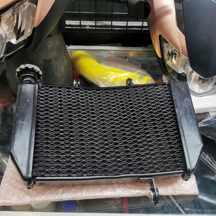 Jual Radiator double fan racing Red leo malaysia mxking y15 | Shopee ...