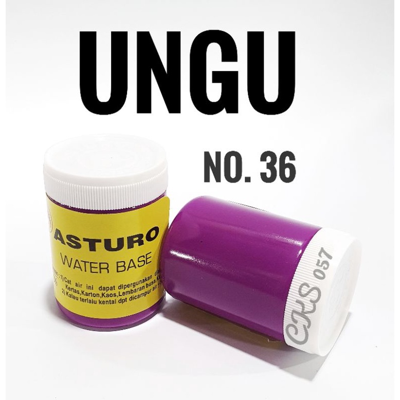 Jual Cat Asturo 100cc / Water Base Asturo / Cat Air Asturo 100cc ...