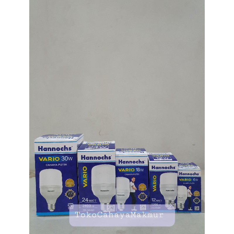 Jual Lampu LED Bohlam Vario 6w,12w,18w,24w,30w Hannochs CoolDayLight | Shopee Indonesia
