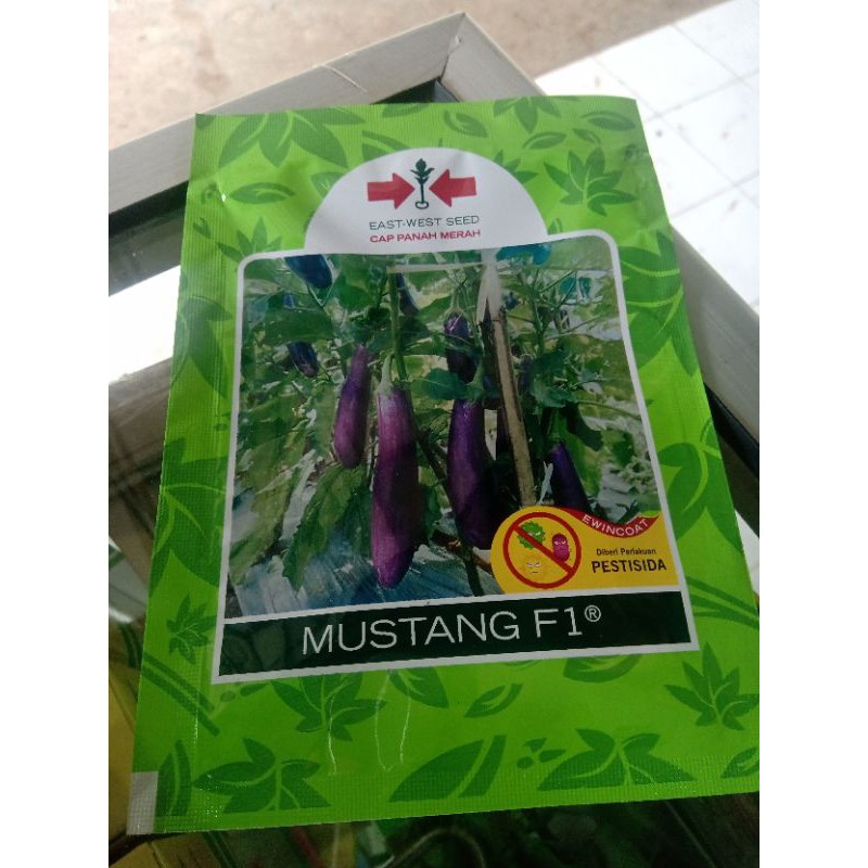 Jual Benih Unggul Terong Panjang Ungu Mustang F1 Cap Panah Merah | Shopee Indonesia