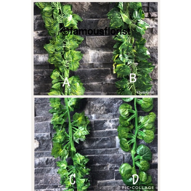 Jual DAUN RAMBAT KECIL 200 CM | Shopee Indonesia