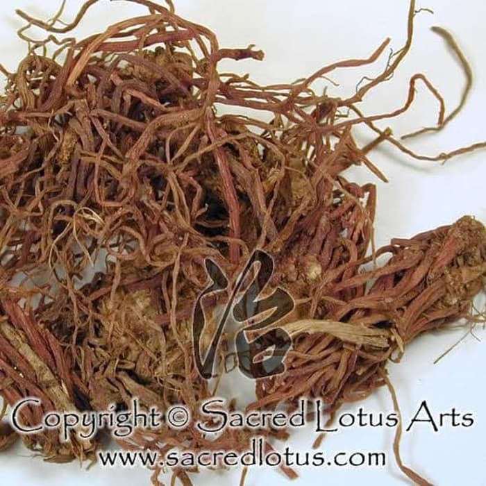 Jual 100 G GR GRAM BEI ZI WAN RADIX ASTERIS TATARIAN ASTER ROOT | Shopee Indonesia