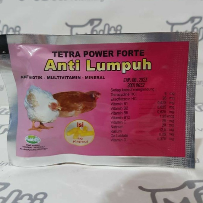 Jual TETRA POWER FORTE 10 kapsul Raid All - Antibiotik,Multivitamin,dan ...