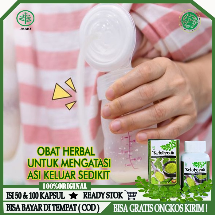 Jual Obat Asi Keluar Sedikit, Suplemen Pelancar ASI, Obat Herbal Asi ...