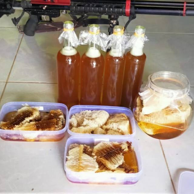 Jual Madu Hutan Liar Apis Dorsata Botol Marjan | Shopee Indonesia