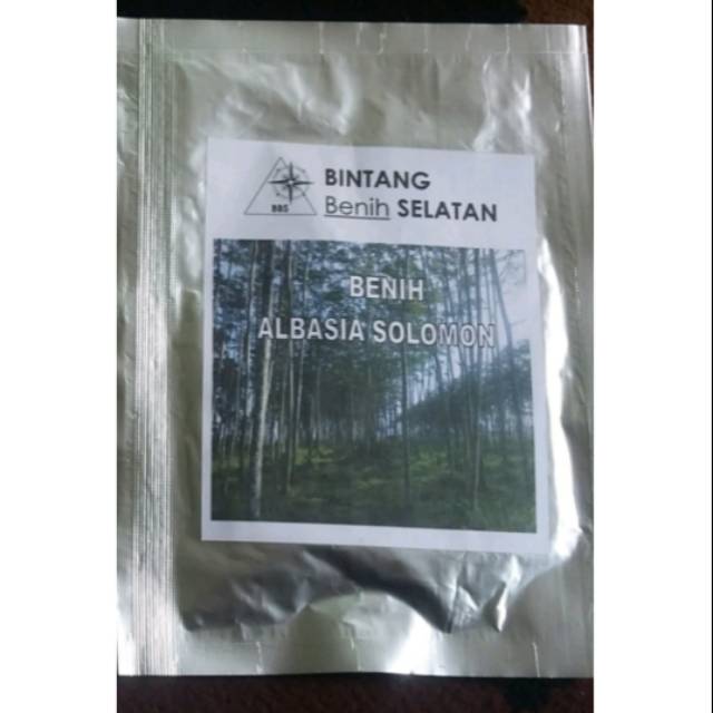 Jual Sengon solomon bibit sengon solomon f1 jaguar albazia solomon f1 ...