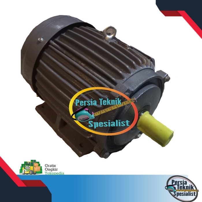 Jual IOP | Dinamo penggerak 3 phase- 4 pole Dinamo elektro motor TECO | Shopee Indonesia