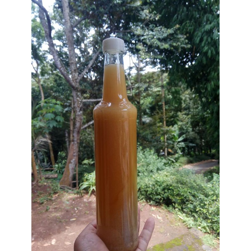 Jual MADU MURNI MADU ASLI MADU RANDU BOTOL MARJAN 360ml | Shopee Indonesia