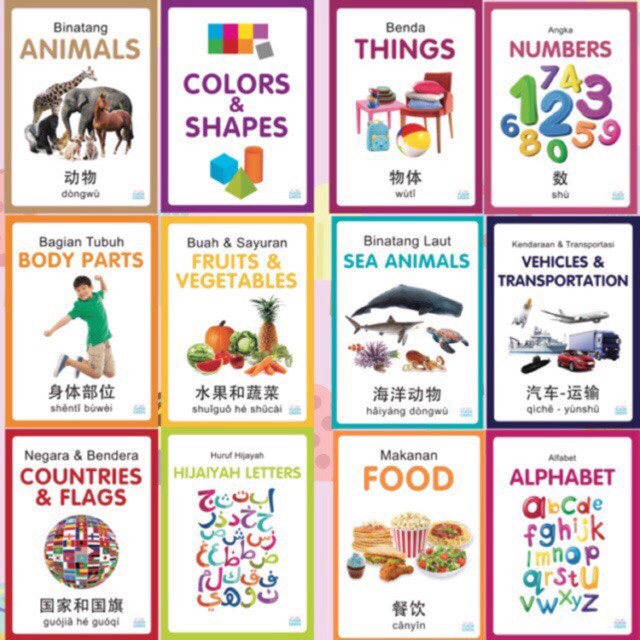 Jual Mainan anak edukasi - FLASHCARD/ flash card anak ukuran besar / my ...