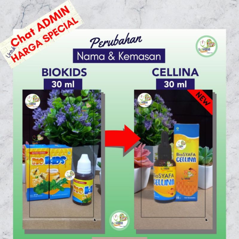 Jual CELLINA NEW BIOKIDS BIOSYAFA 30 ML - BS BIO KIDS BIO SYAFA ...