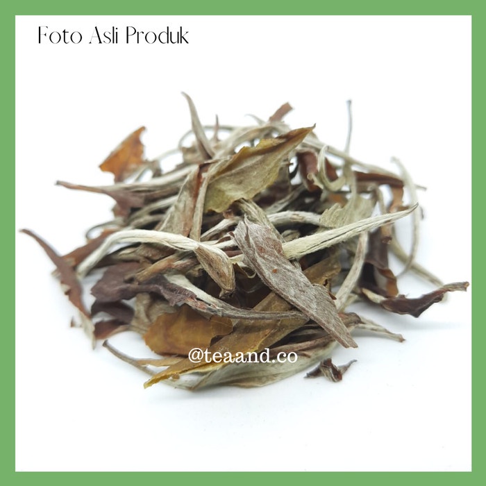 Jual teh-daun- organic white tea white peony bai mu dan teh putih ...