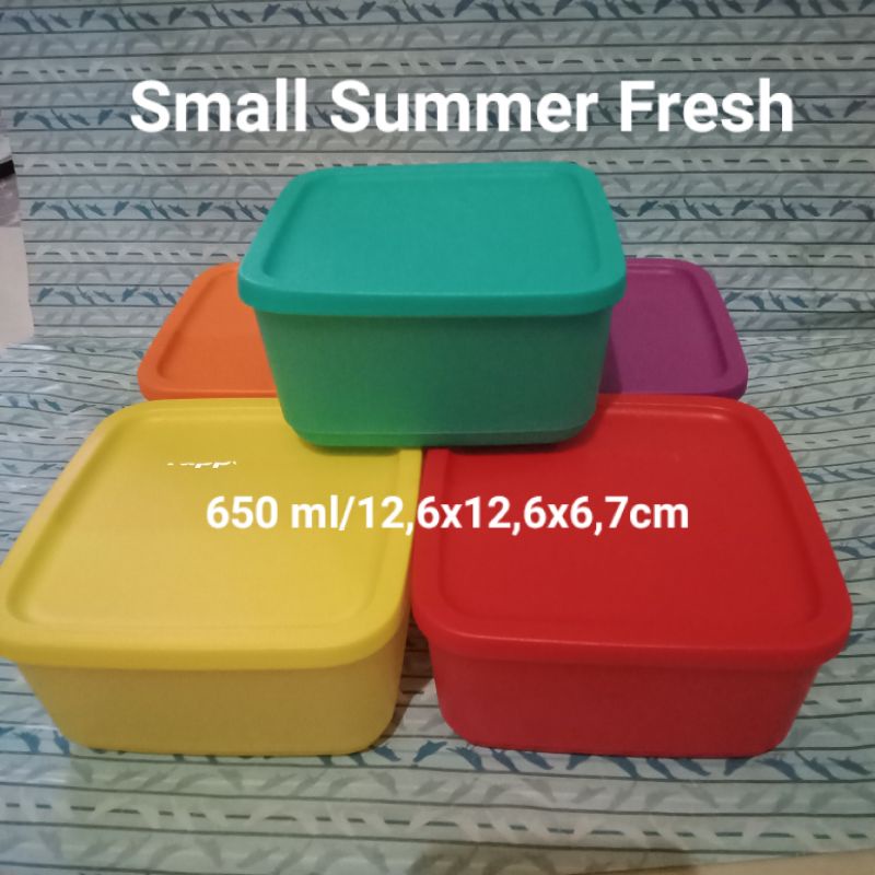 Jual Small Summer Fun Collection Tupperware ecer(1 pc) | Shopee Indonesia