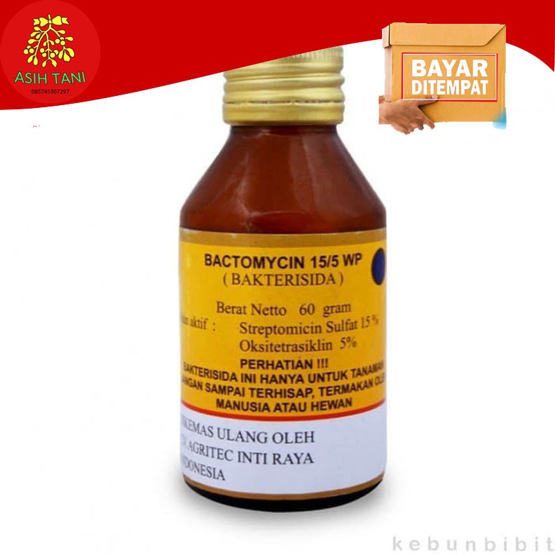 Jual Bakterisida Bactomycin 15 5 WP 60 Gr | Shopee Indonesia