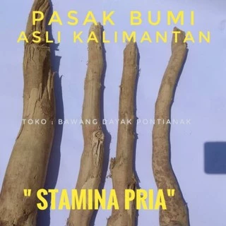 Jual Kayu Pasak Terlengkap & Harga Terbaru Agustus 2024 | Shopee Indonesia