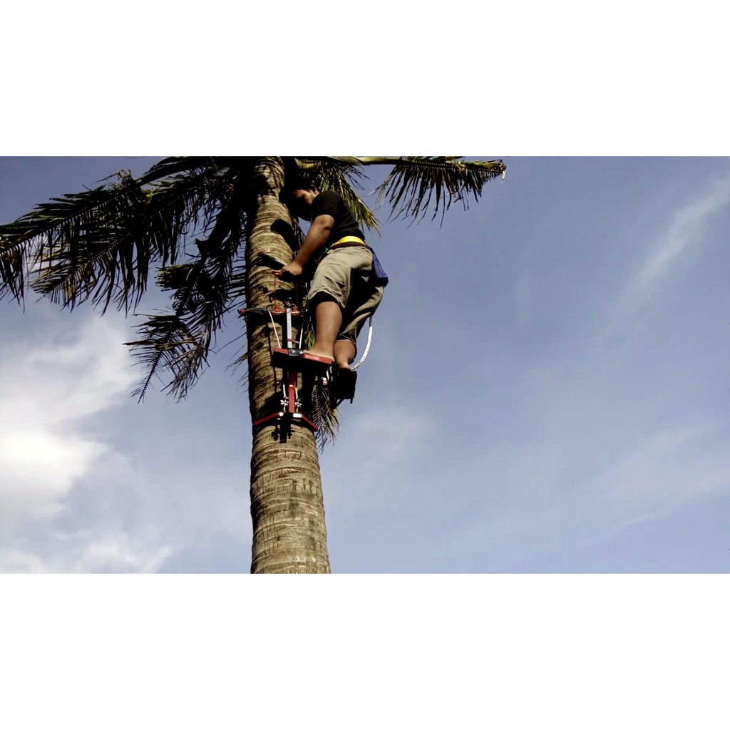 Jual Panjatkit T3 Alat panjat pohon kelapa tiang listrik sistem jerat ...