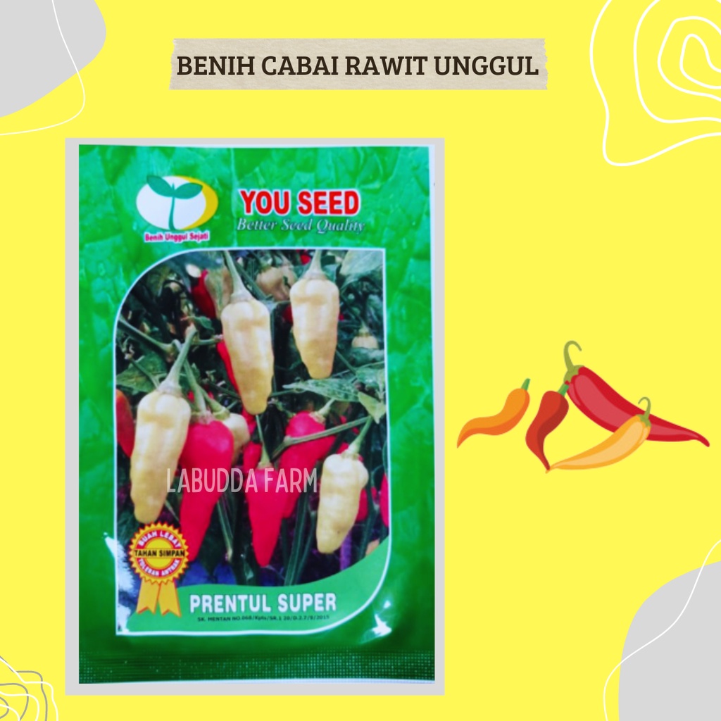 Jual Bibit Cabe Prentul Super original 10gr - Bibit Cabe Rawit Unggul ...