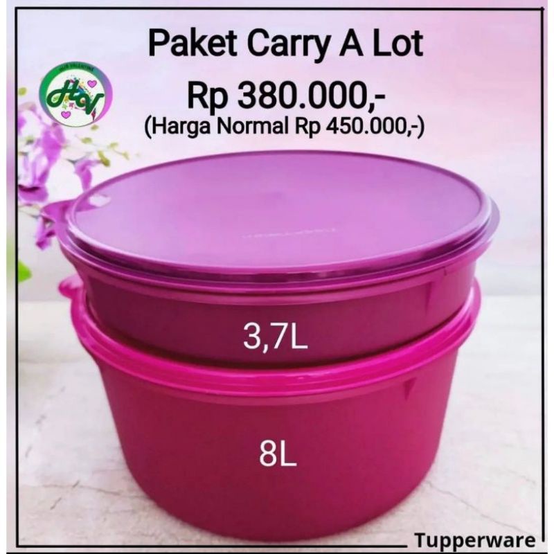 Jual paket carry all lot set tempat makanan (2) original tupperware ...