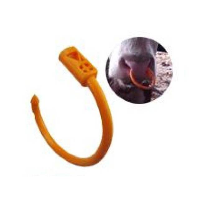 Jual Cincin Ring Plastik Nylon Untuk Hidung Sapi Lembu Kerbau Cow Bull ...