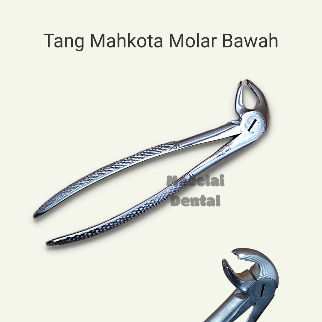 Jual DENTAL TANG CABUT GIGI DEWASA ECER / PER PCS TOOTH FORCEP SATUAN ...