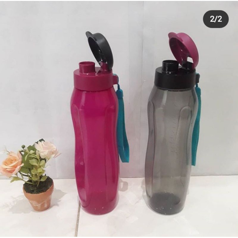Jual Ecco bottle tupperware/botol Tupperware | Shopee Indonesia