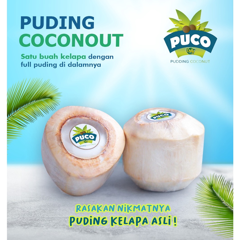Jual Puding Kelapa Muda Asli Pudding Coconut Puco Daily Food | Shopee ...